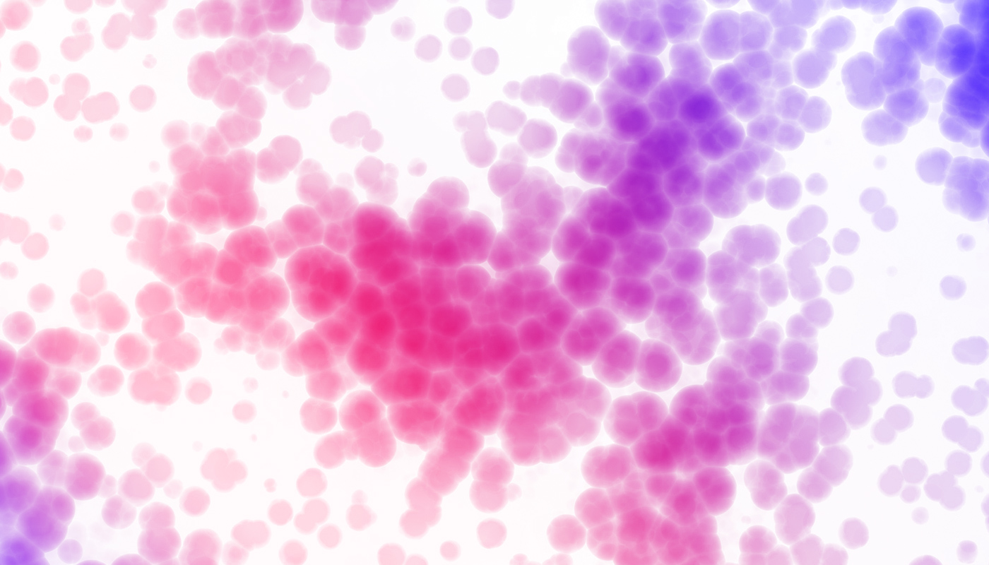 CREST 3D Image Recognition AI for Cancer Diagnosis Support | ISLab ...